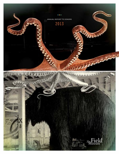 Drs. Jonathan Haas and Winifred Creamer: Philanthropy Profile ...